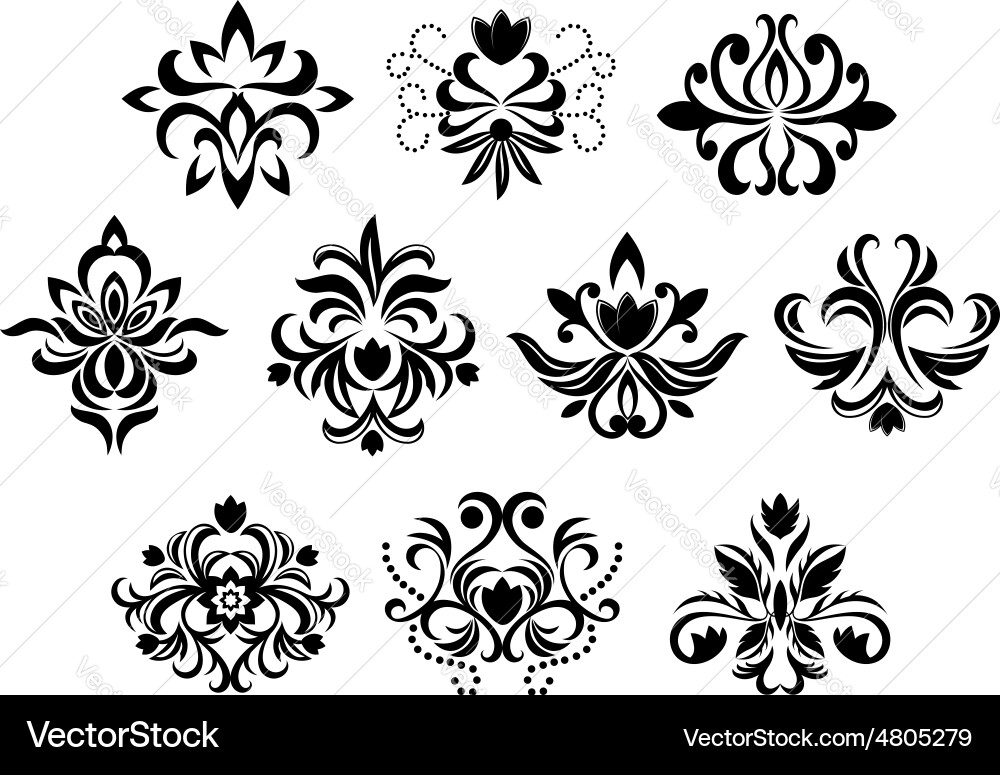 Black damask flower blossoms and patterns Vector Image