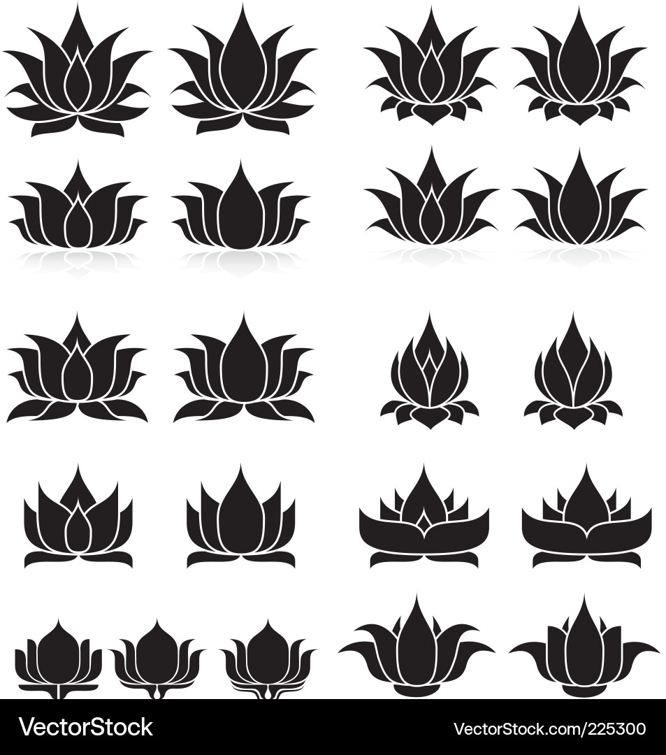 Lotus Royalty Free Vector Image - VectorStock