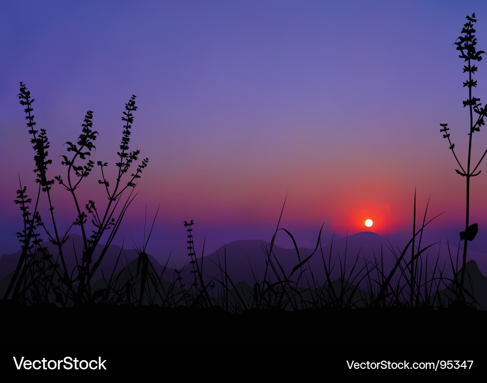 Sunrise scene Royalty Free Vector Image - VectorStock