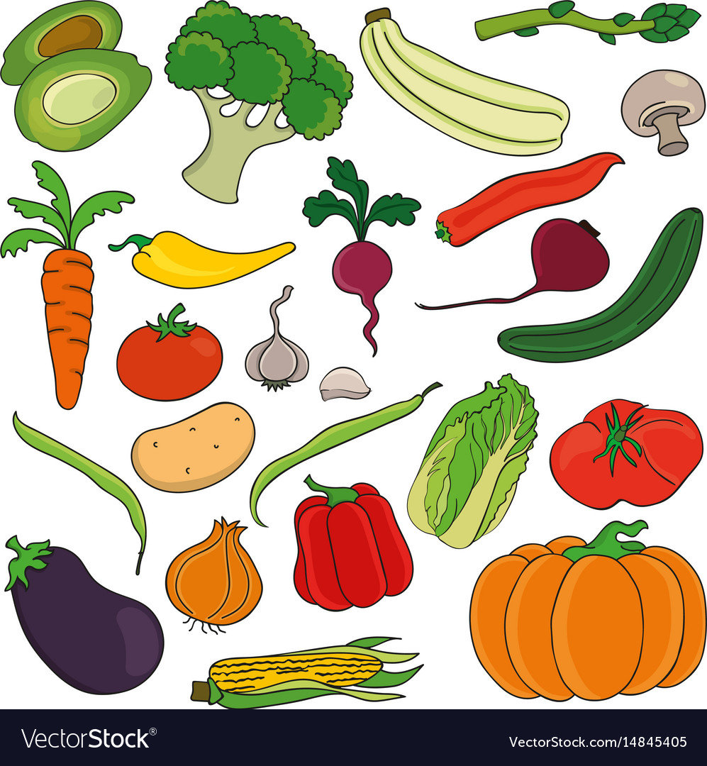 Set vegetables Royalty Free Vector Image - VectorStock