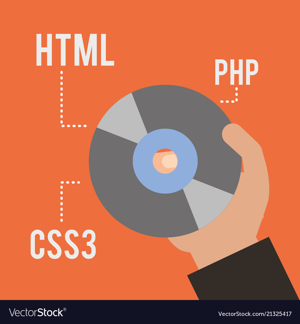 Program coding website Royalty Free Vector Image