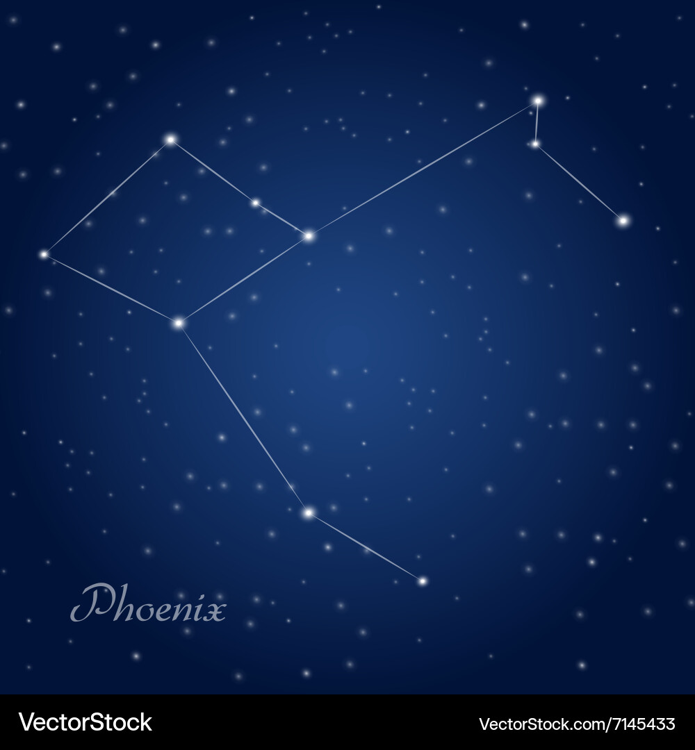 Phoenix constellation Royalty Free Vector Image