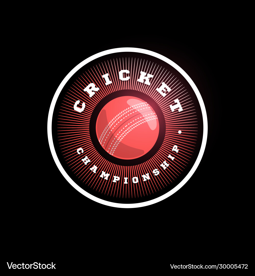 Modern professional typography cricket sport Vector Image