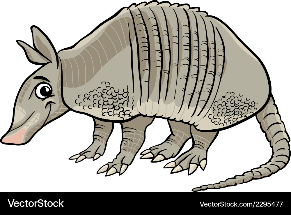Armadillo animal cartoon Royalty Free Vector Image