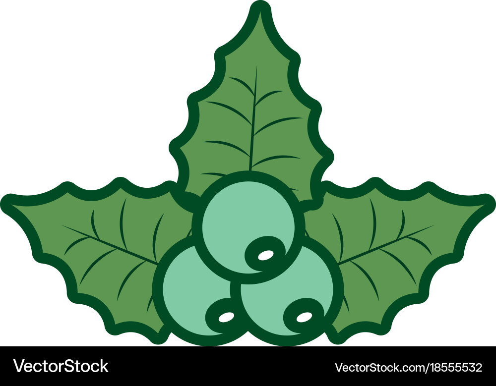 Mistletoe icon image Royalty Free Vector Image