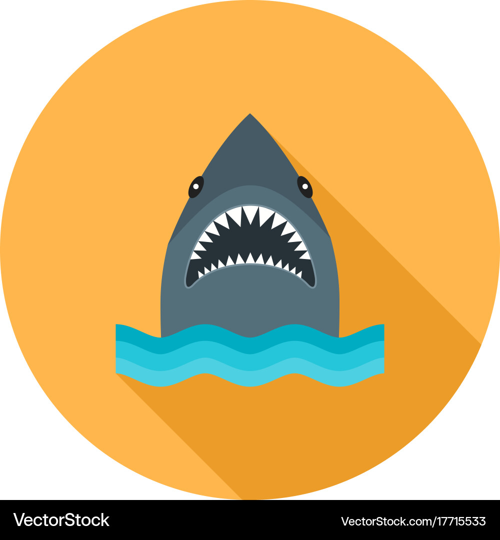 Shark face Royalty Free Vector Image - VectorStock