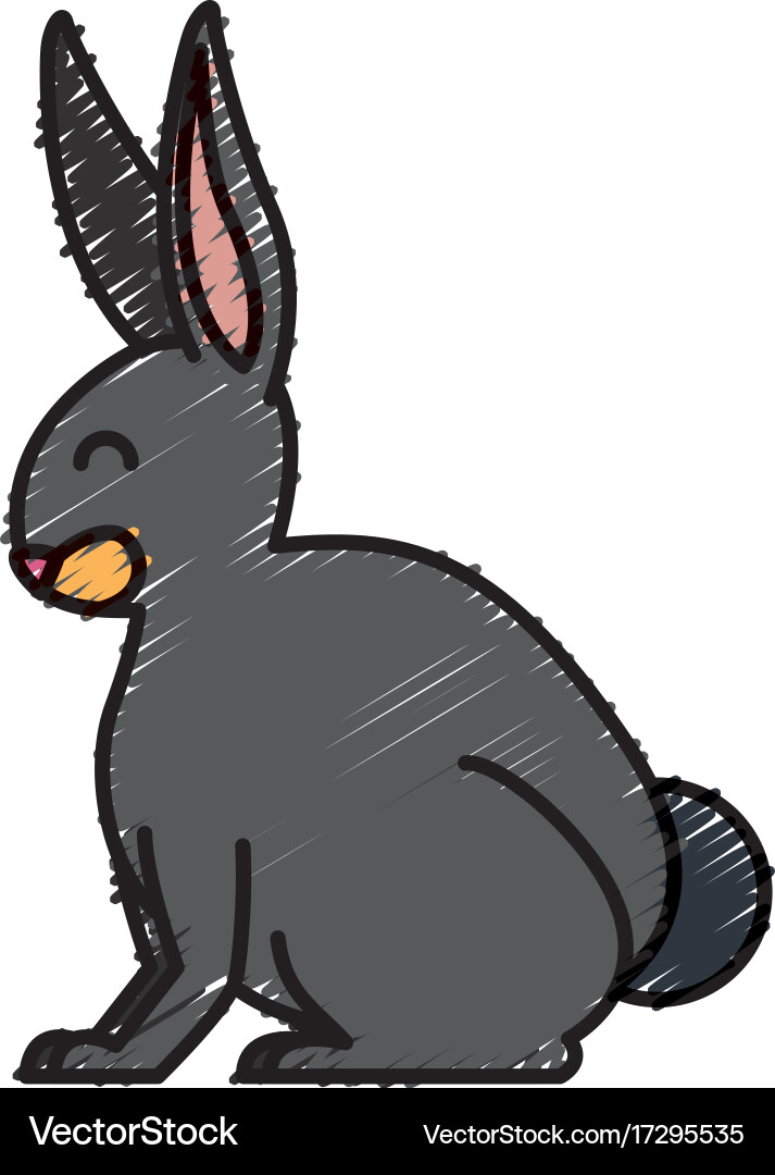 Rabbit animal cartoon Royalty Free Vector Image