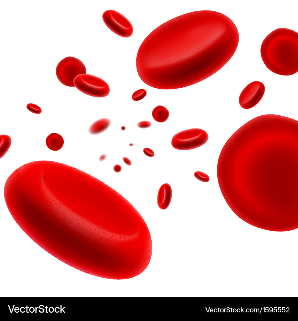 Flowing Red Blood Cell Royalty Free Vector Image