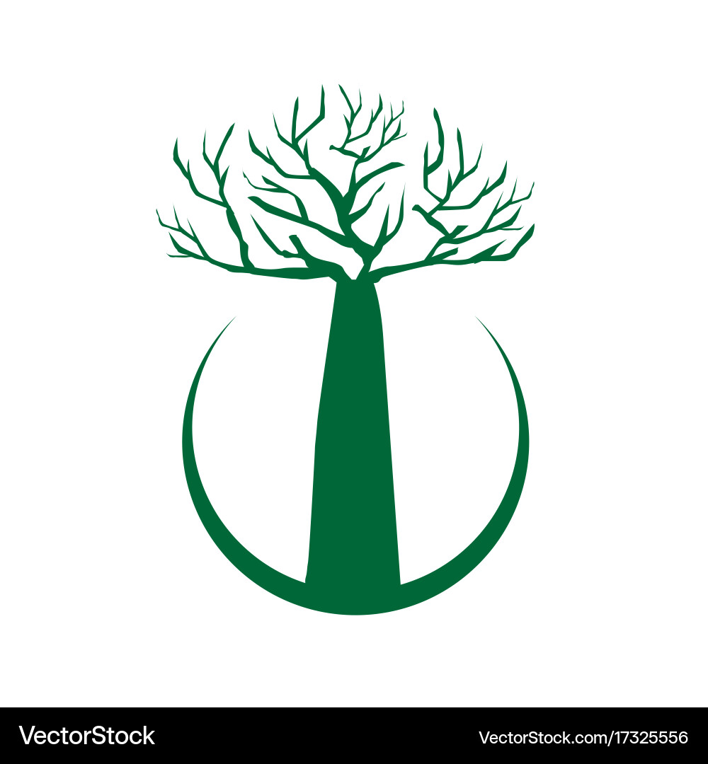 Baobab tree Royalty Free Vector Image - VectorStock