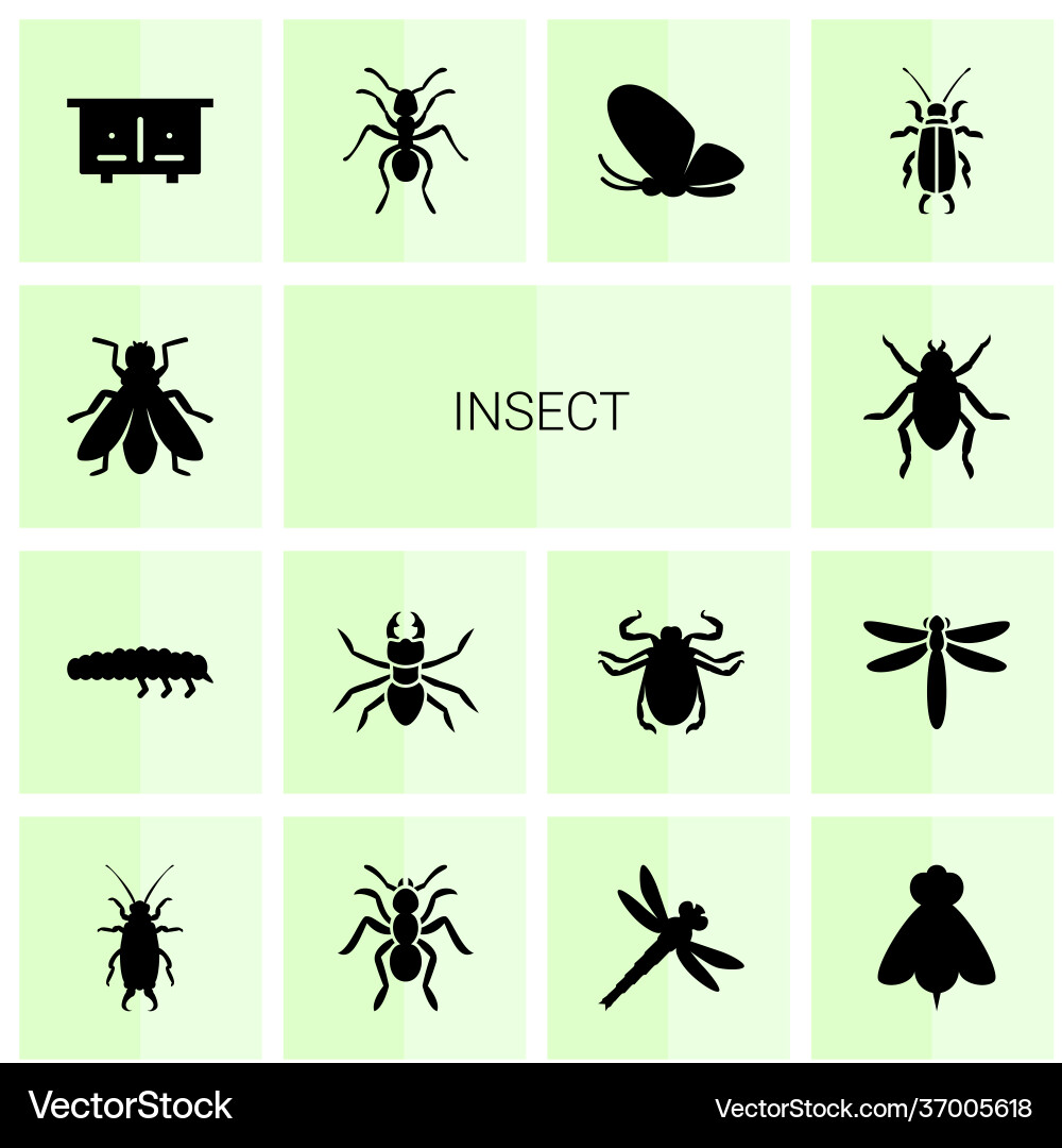 Insect icons Royalty Free Vector Image - VectorStock