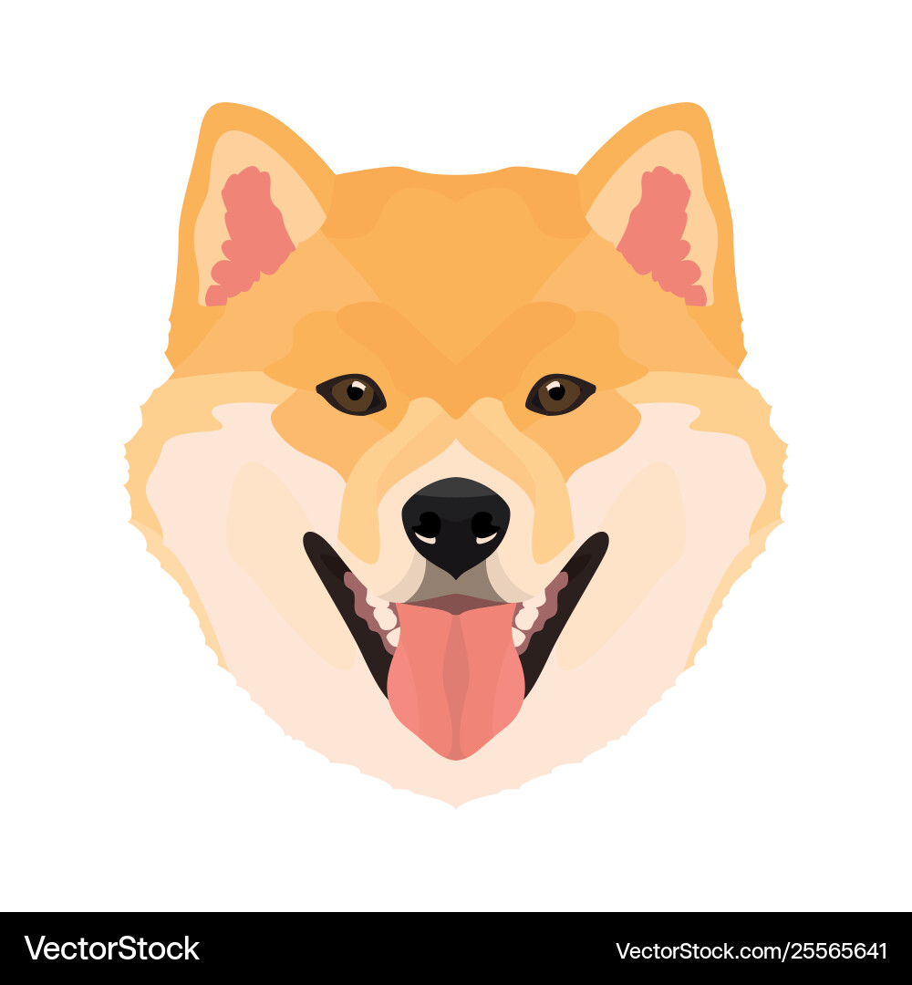 Shiba inu Royalty Free Vector Image - VectorStock