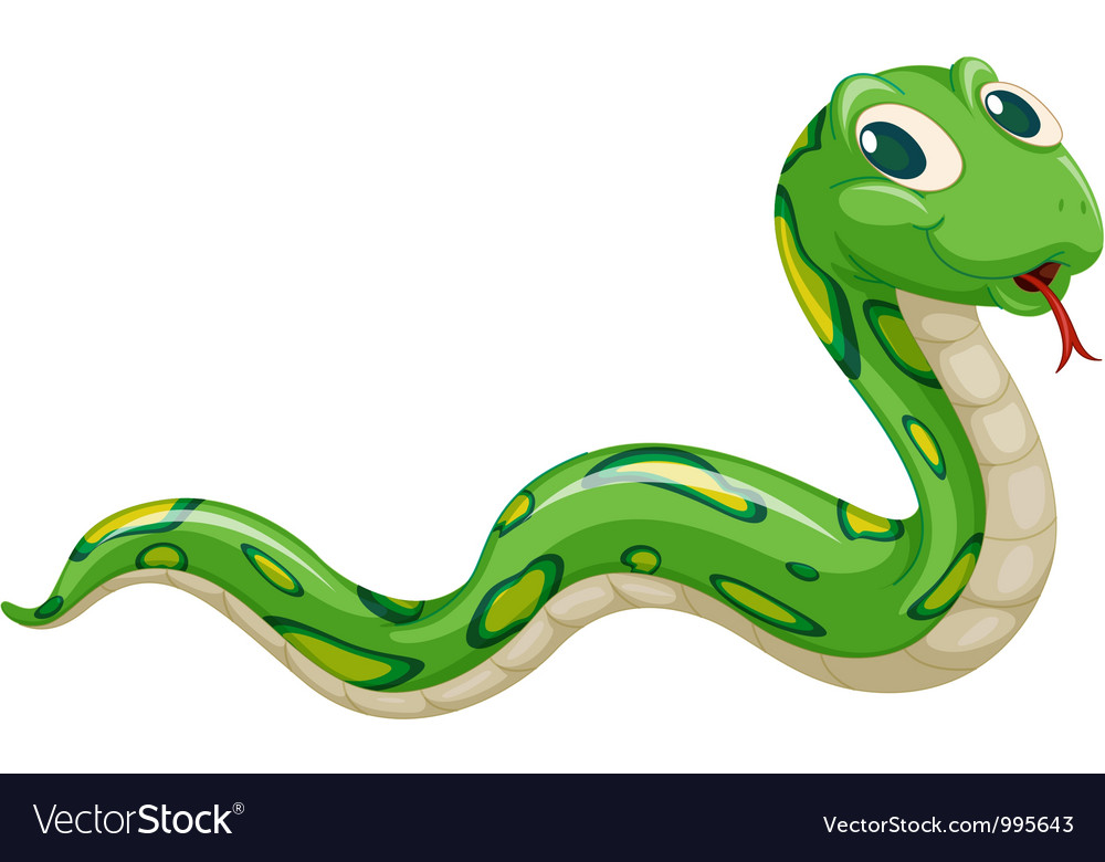 Cartoon snake Royalty Free Vector Image - VectorStock