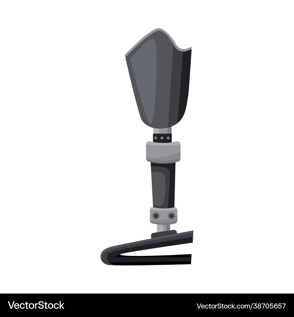 Isolated object leg and prosthesis icon web Vector Image