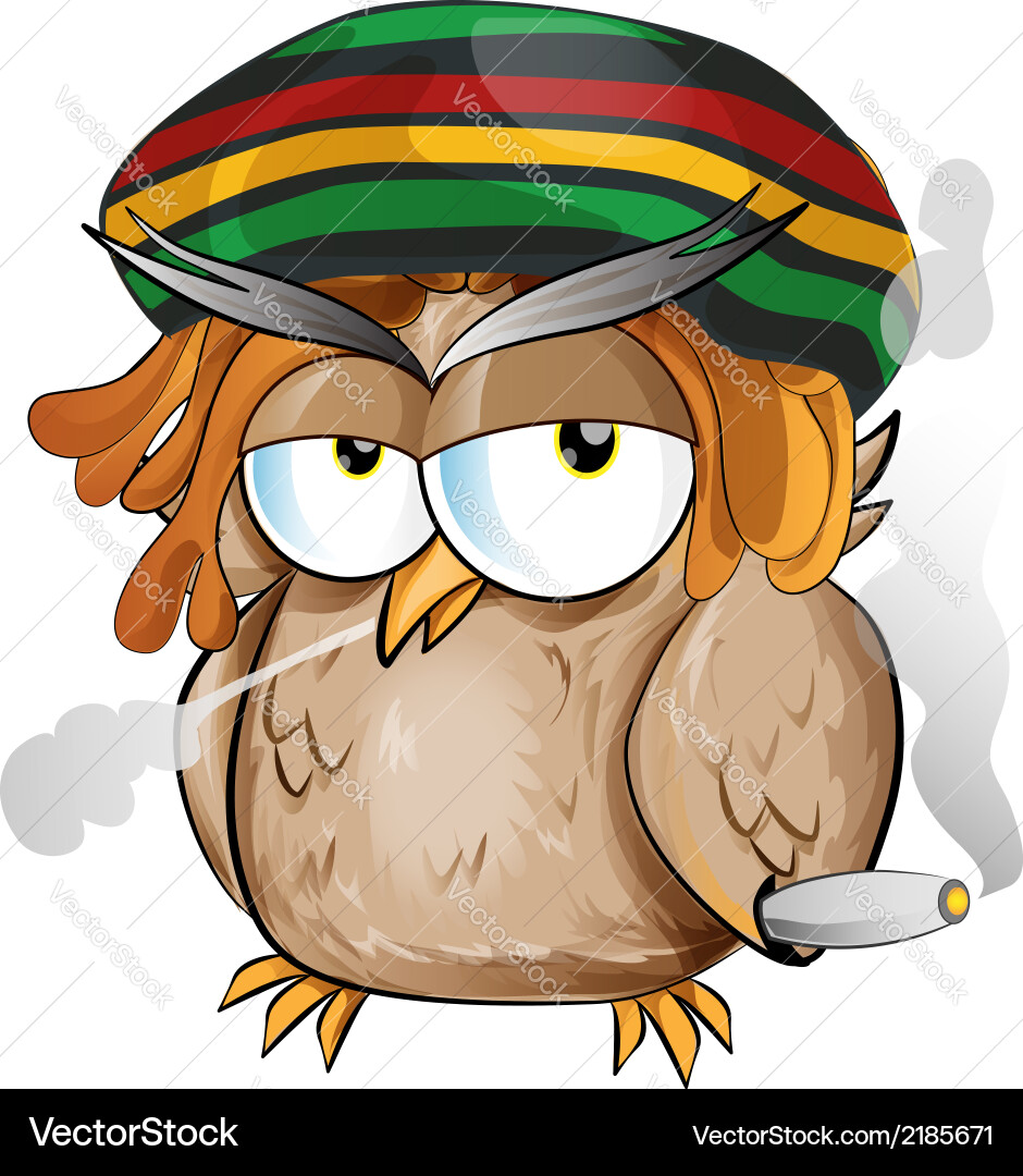 Rasta owl cartoon Royalty Free Vector Image - VectorStock
