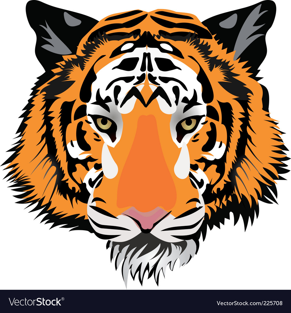 Tiger head Royalty Free Vector Image - VectorStock