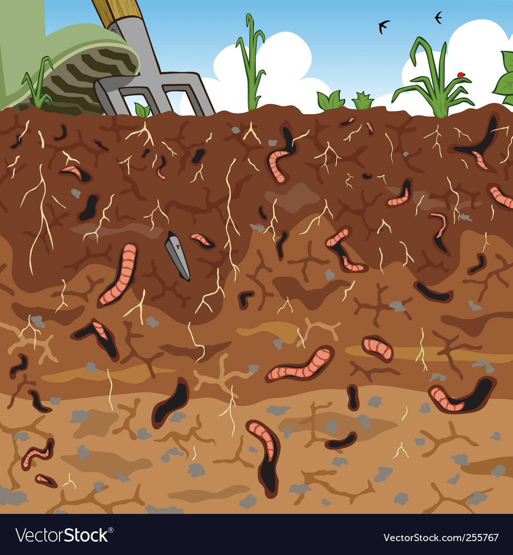 Soil Royalty Free Vector Image - VectorStock