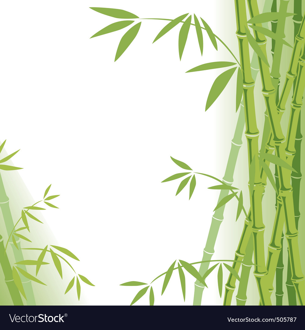 Background bamboo Royalty Free Vector Image - VectorStock