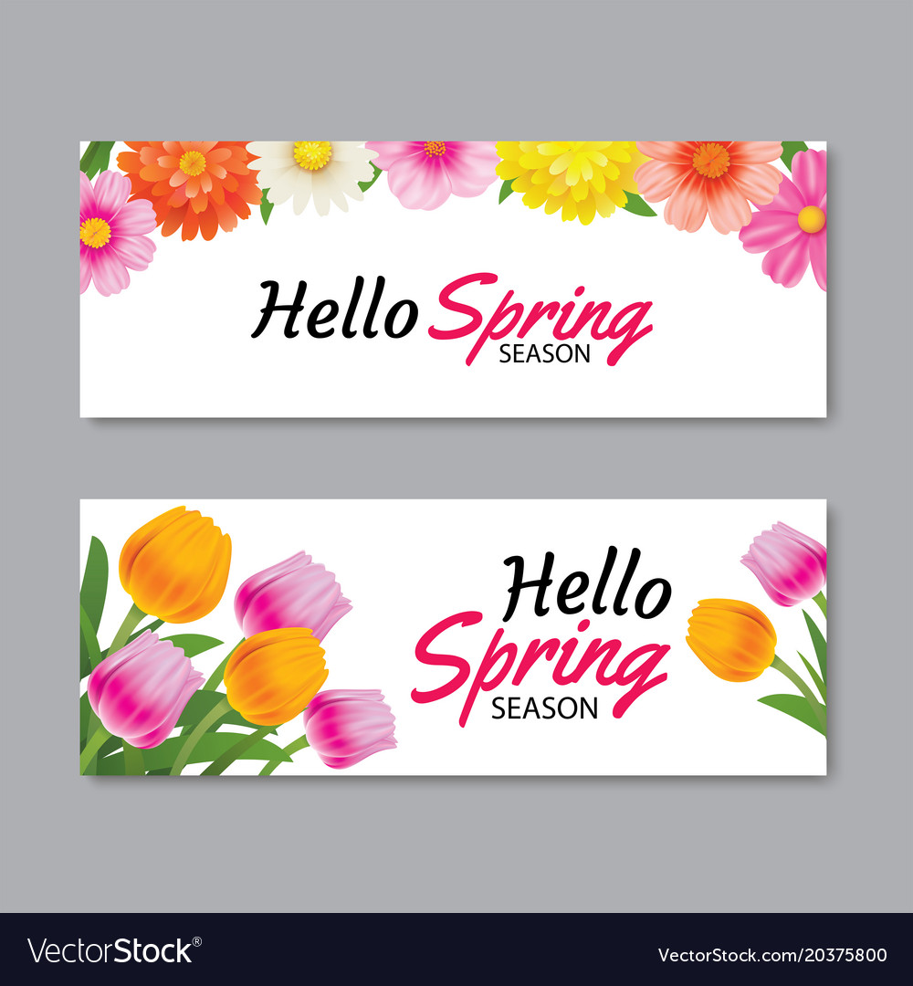Hello spring greeting card banner template Vector Image