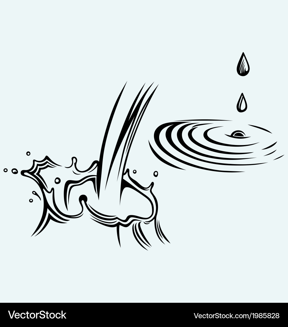 Rain drops rippling in puddle Royalty Free Vector Image