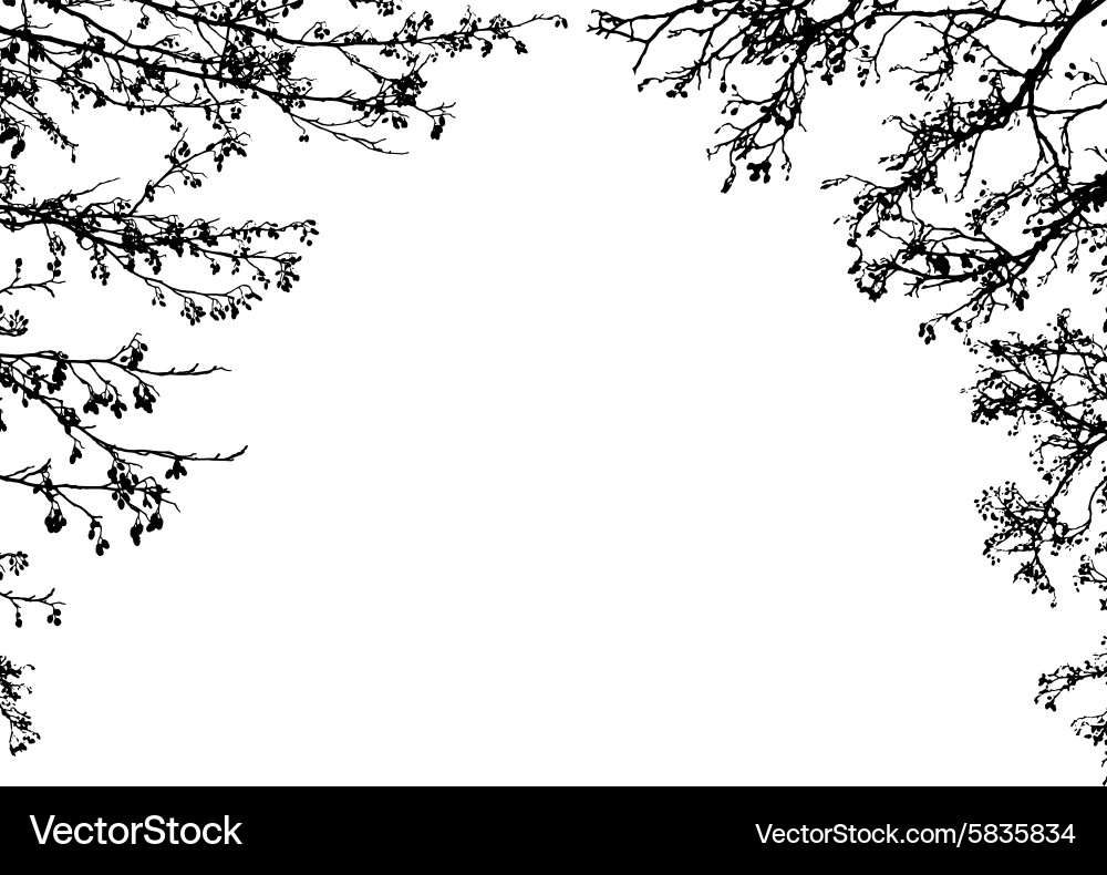 Tree branches frame Royalty Free Vector Image - VectorStock