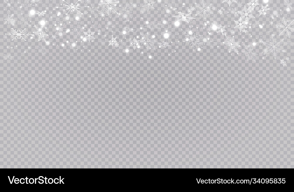 White snow flies on a transparent background Vector Image