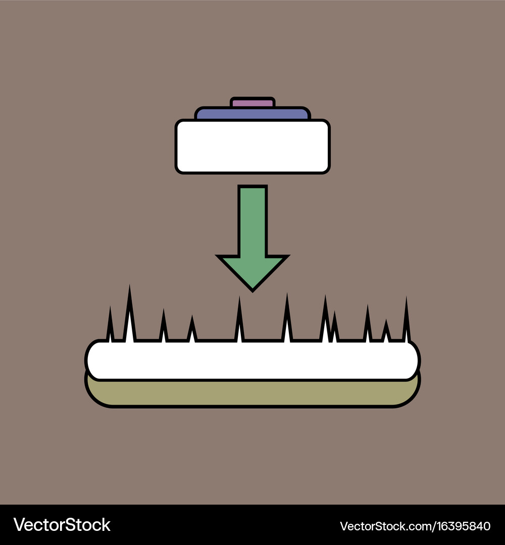 Flat Lay Free Vector Graphics | Everypixel