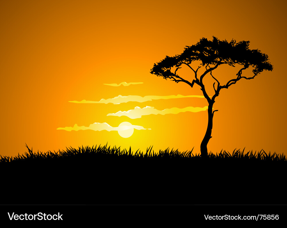 Savana sunset Royalty Free Vector Image - VectorStock