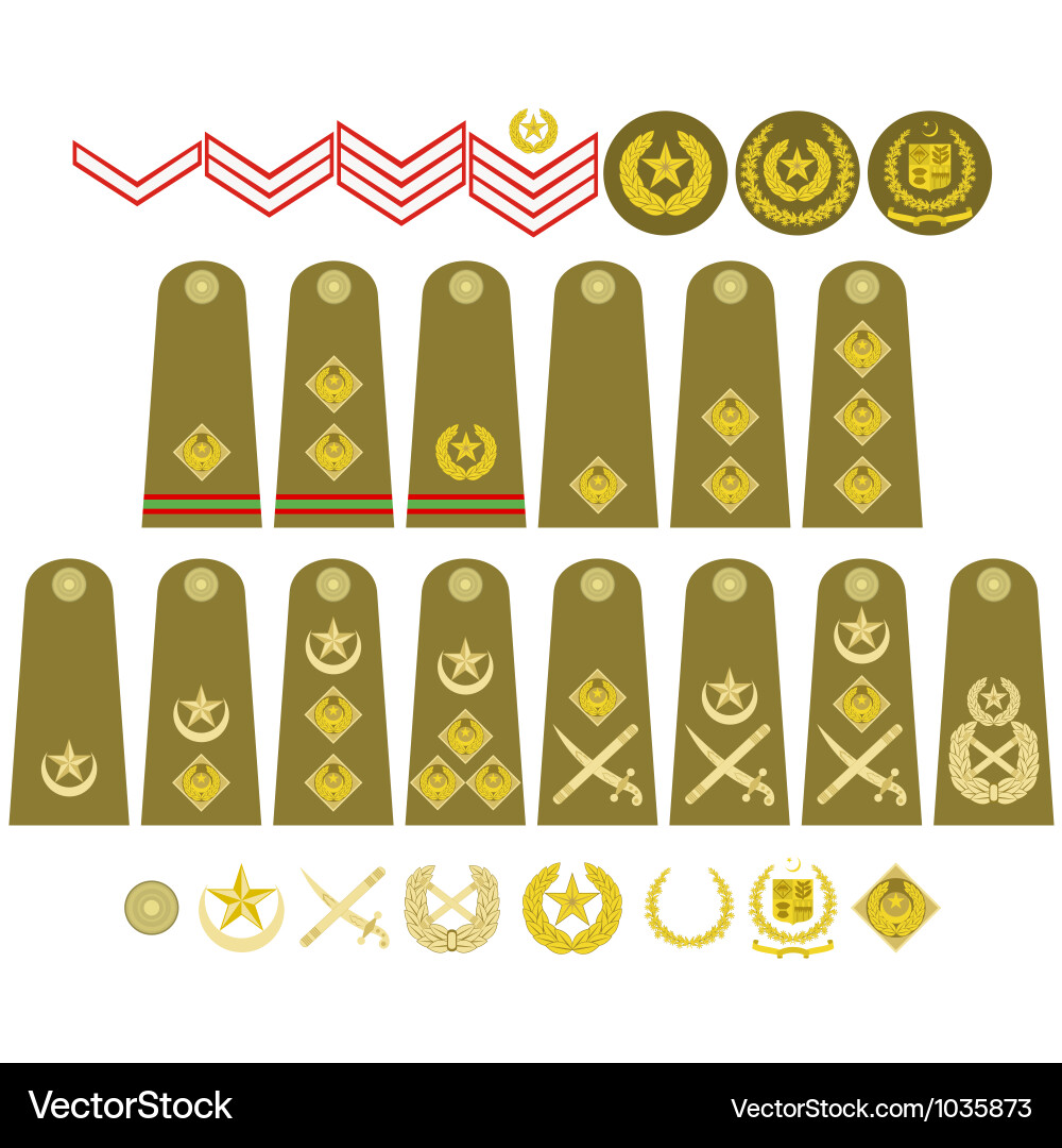 Pakistan Army insignia Royalty Free Vector Image