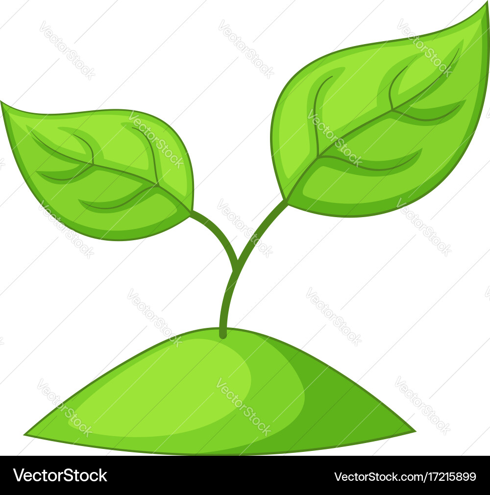 Sprout icon cartoon style Royalty Free Vector Image