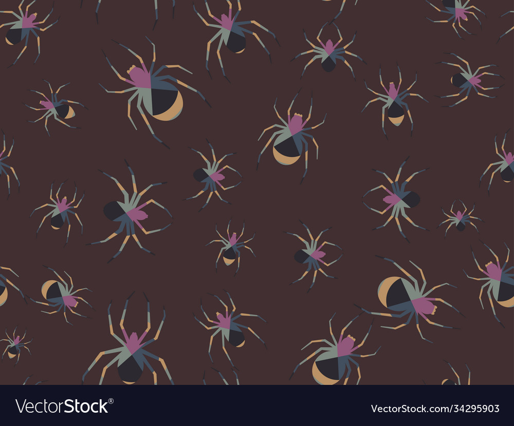 Spiders seamless pattern different colors Vector Image