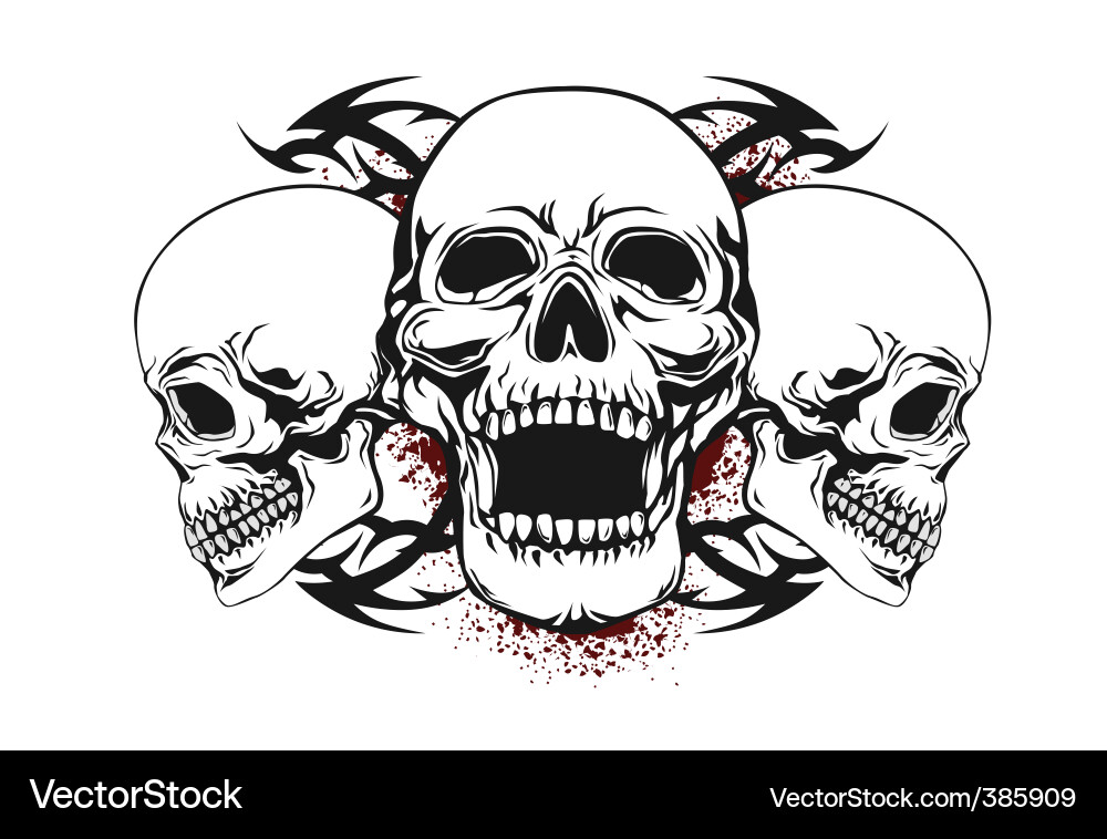 Three skulls Royalty Free Vector Image - VectorStock
