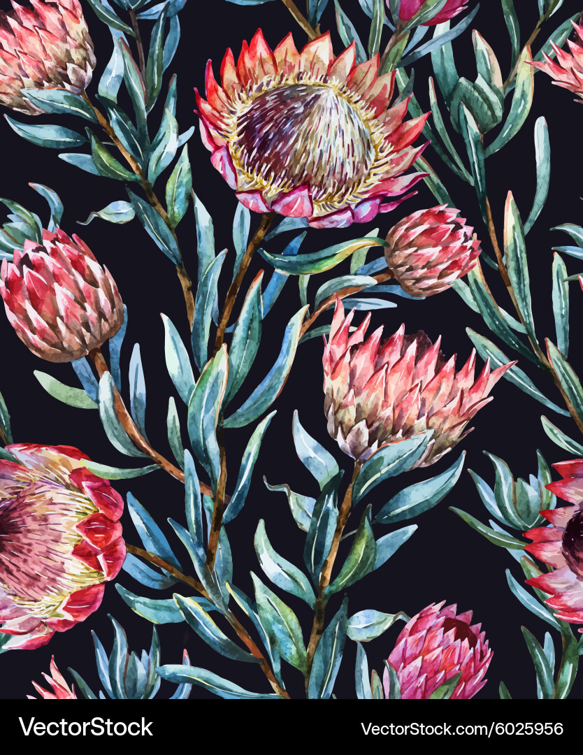 Watercolor tropical protea pattern Royalty Free Vector Image