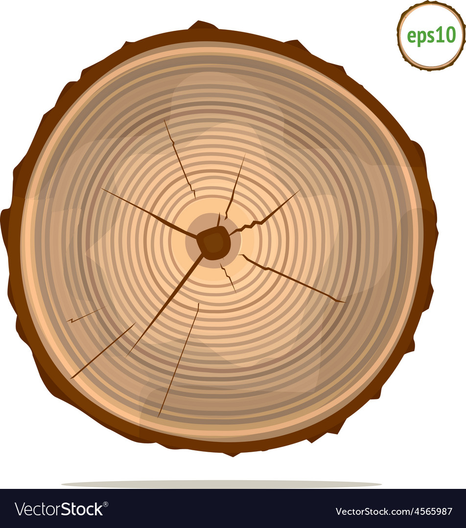 Tree-rings Royalty Free Vector Image - VectorStock