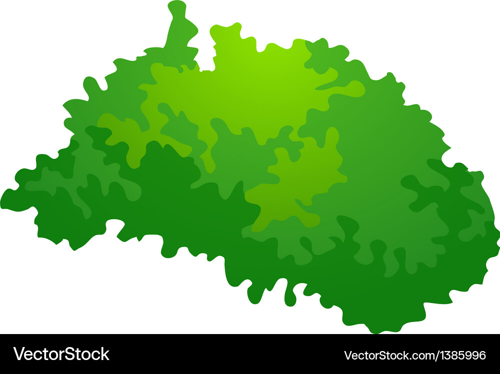 Icon bush Royalty Free Vector Image - VectorStock