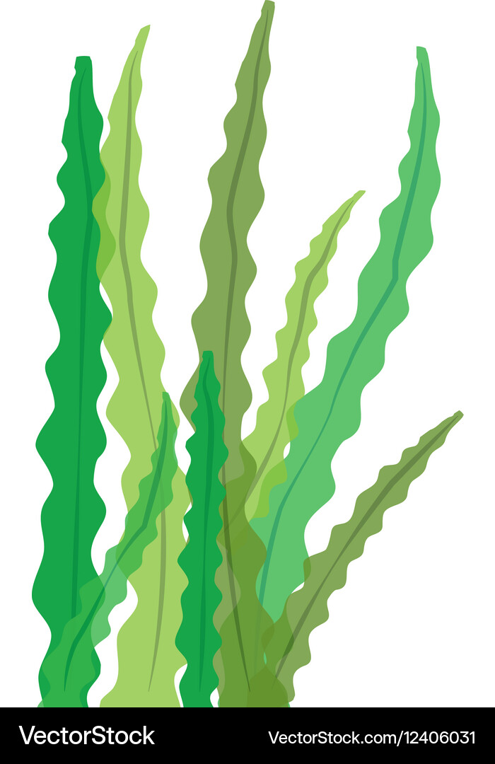 Seaweed icon image Royalty Free Vector Image - VectorStock