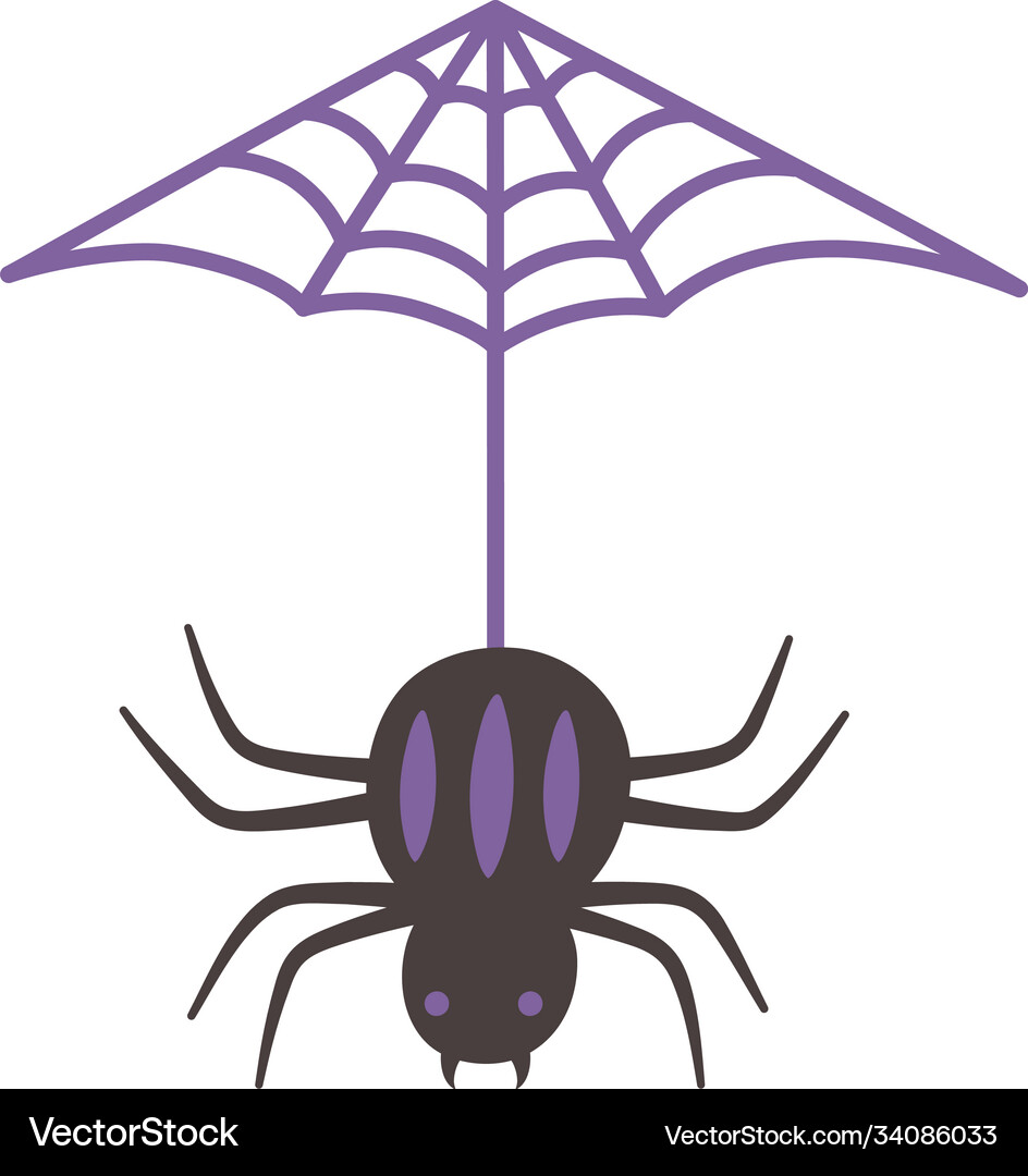 Hanging spider cobweb isolated design icon Vector Image