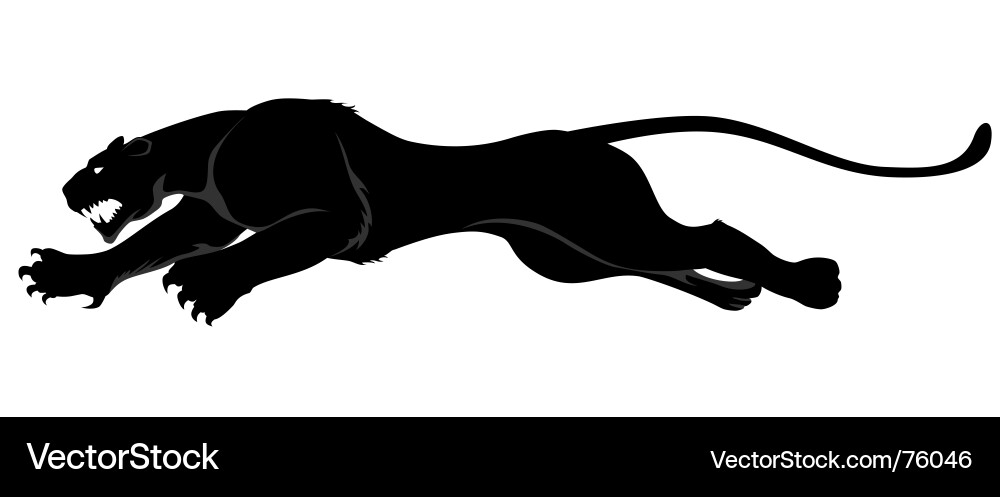 Panther Royalty Free Vector Image - VectorStock