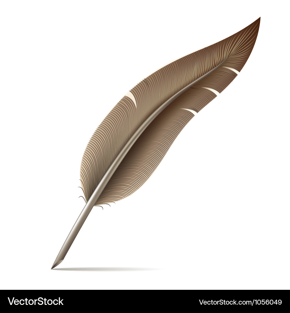 Image of feather pen on white background Vector Image