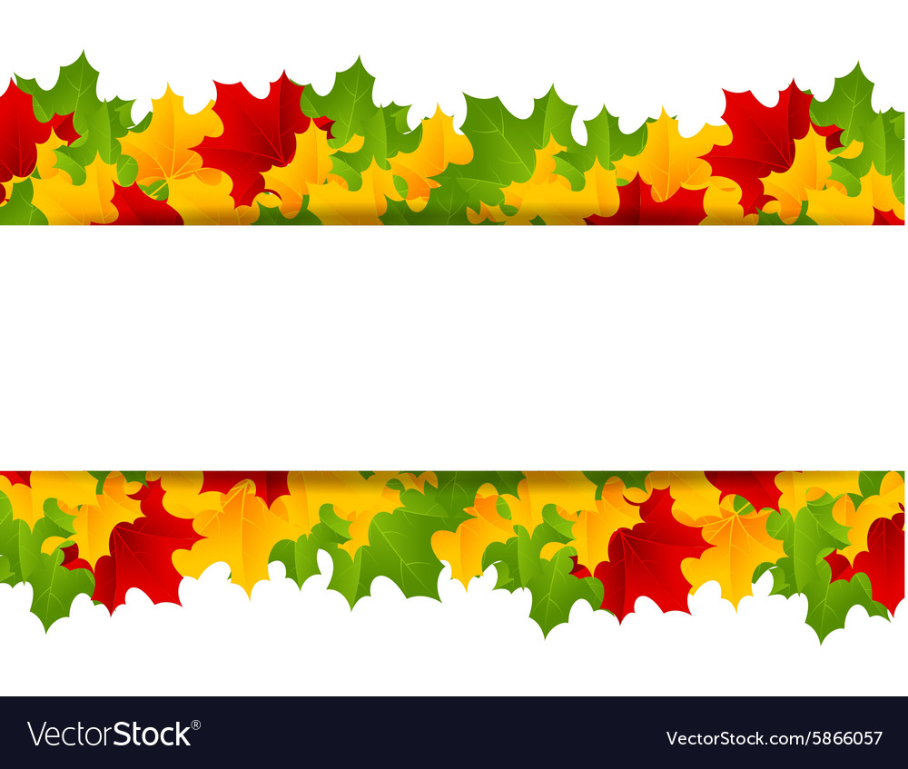 Maple template Royalty Free Vector Image - VectorStock