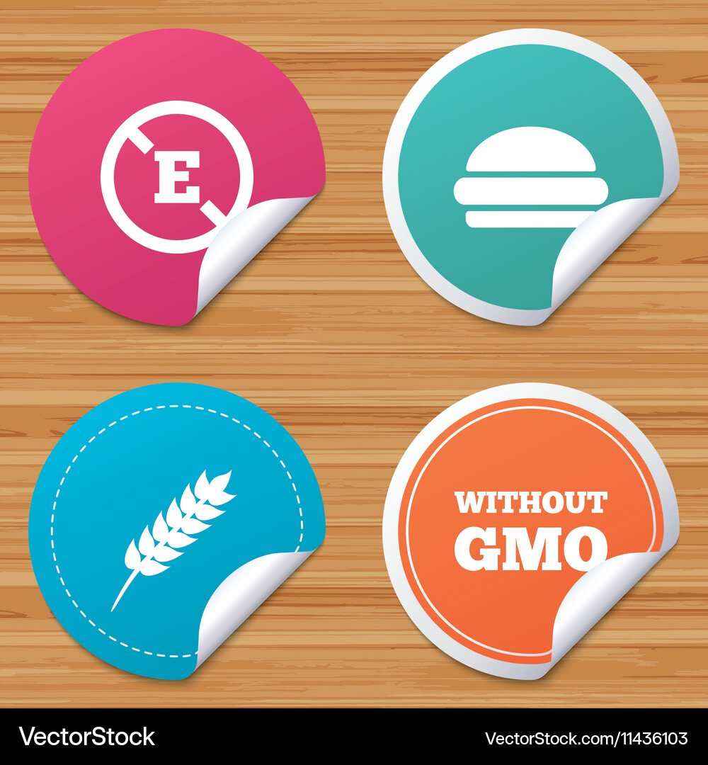 Food additive icon hamburger fast sign Royalty Free Vector