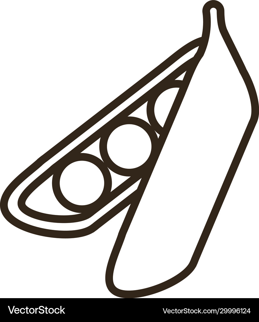 Alverja on white background line style icon Vector Image