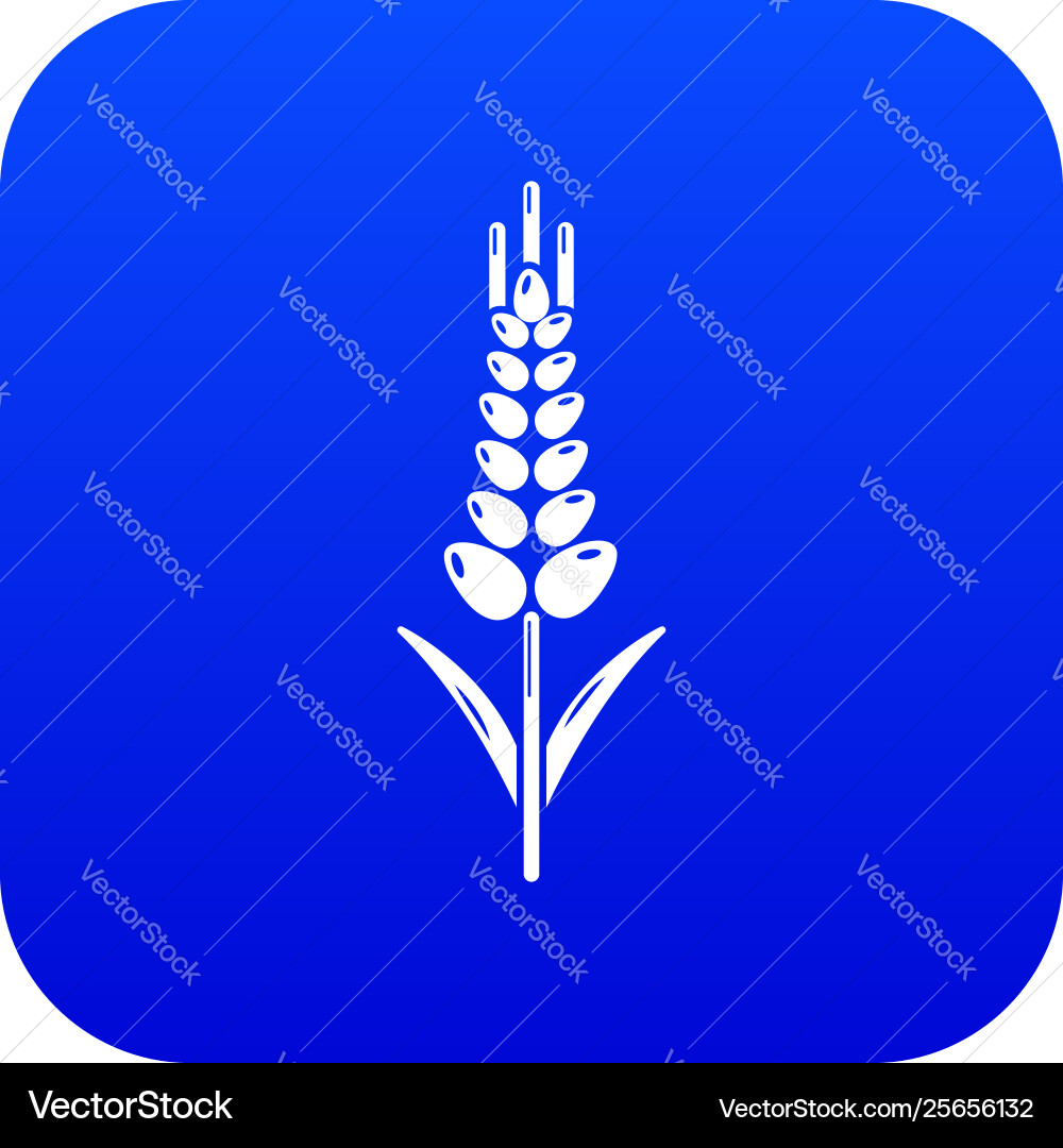 Wheaty wheat icon blue Royalty Free Vector Image