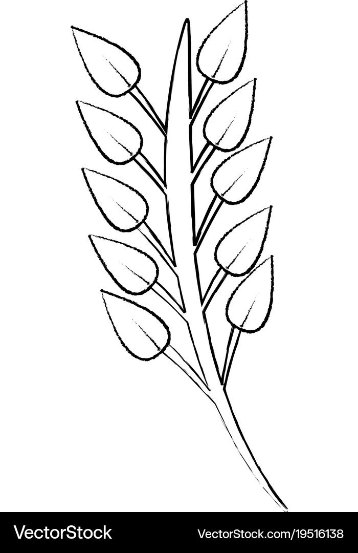 Leaves with stem icon image Royalty Free Vector Image