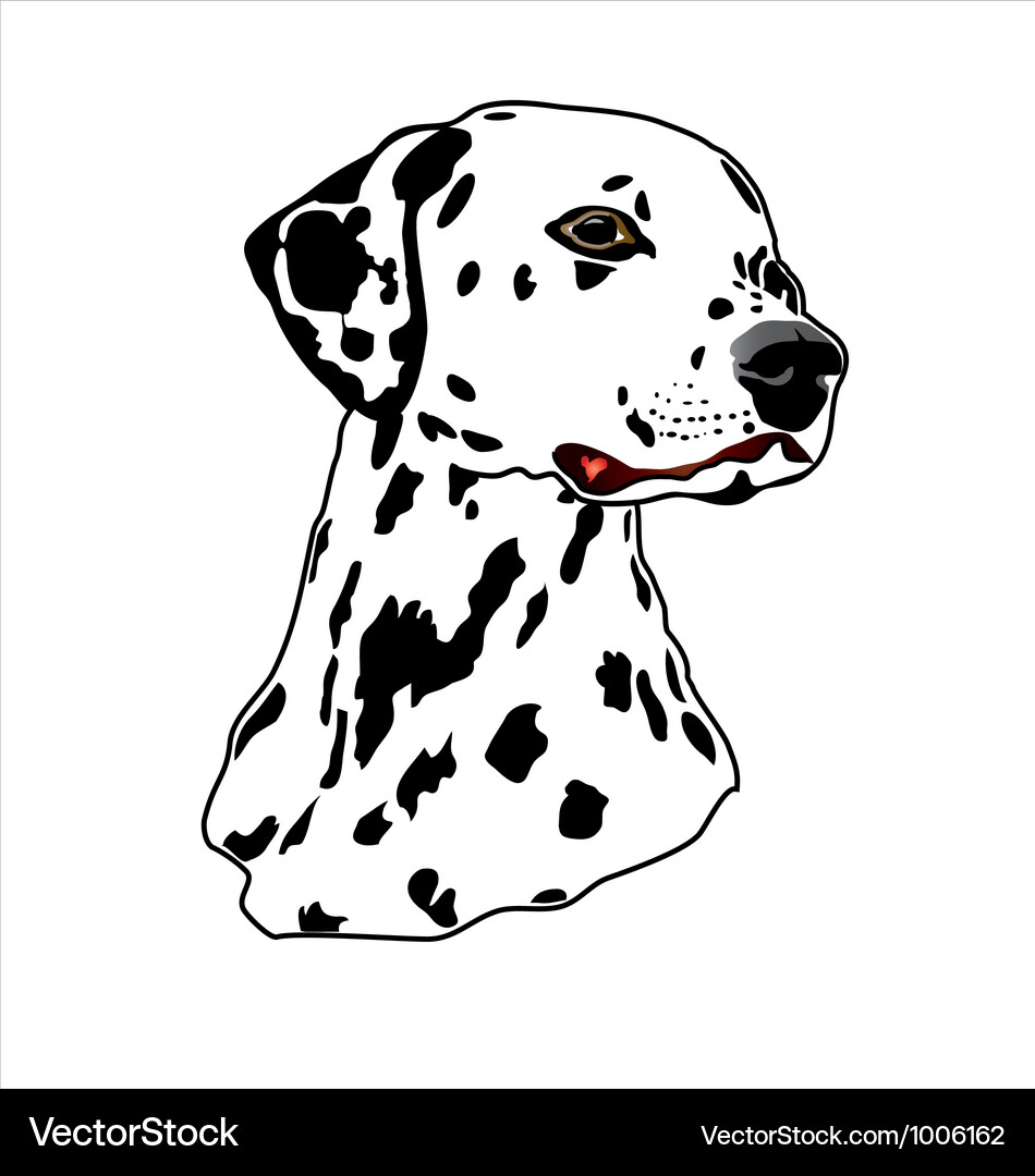 Dalmatian Royalty Free Vector Image - VectorStock