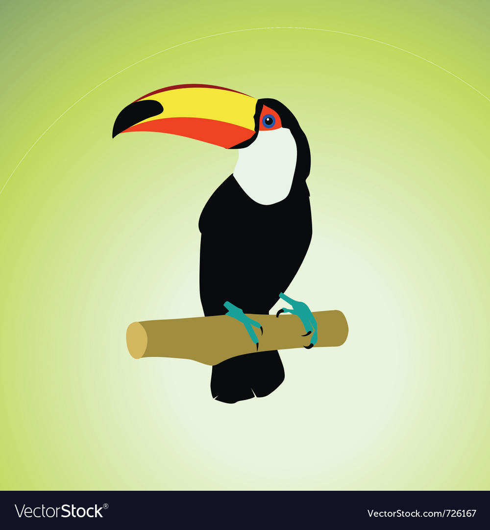 Toucan Royalty Free Vector Image - VectorStock