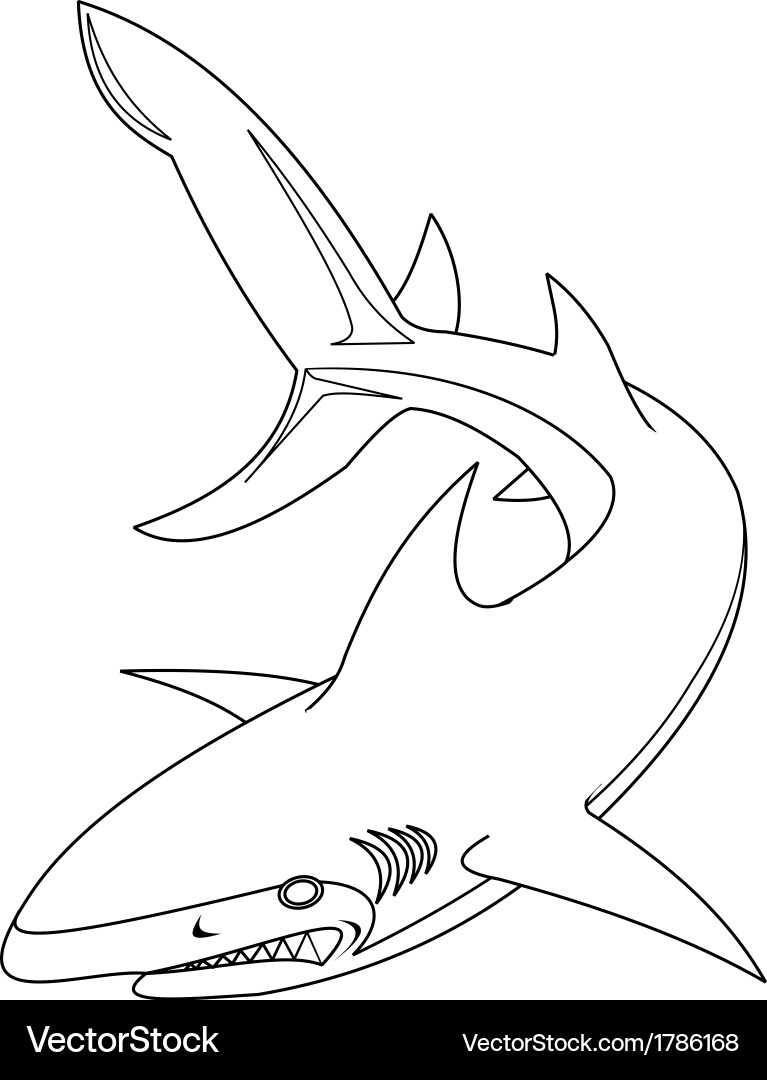 Shark outline Royalty Free Vector Image - VectorStock
