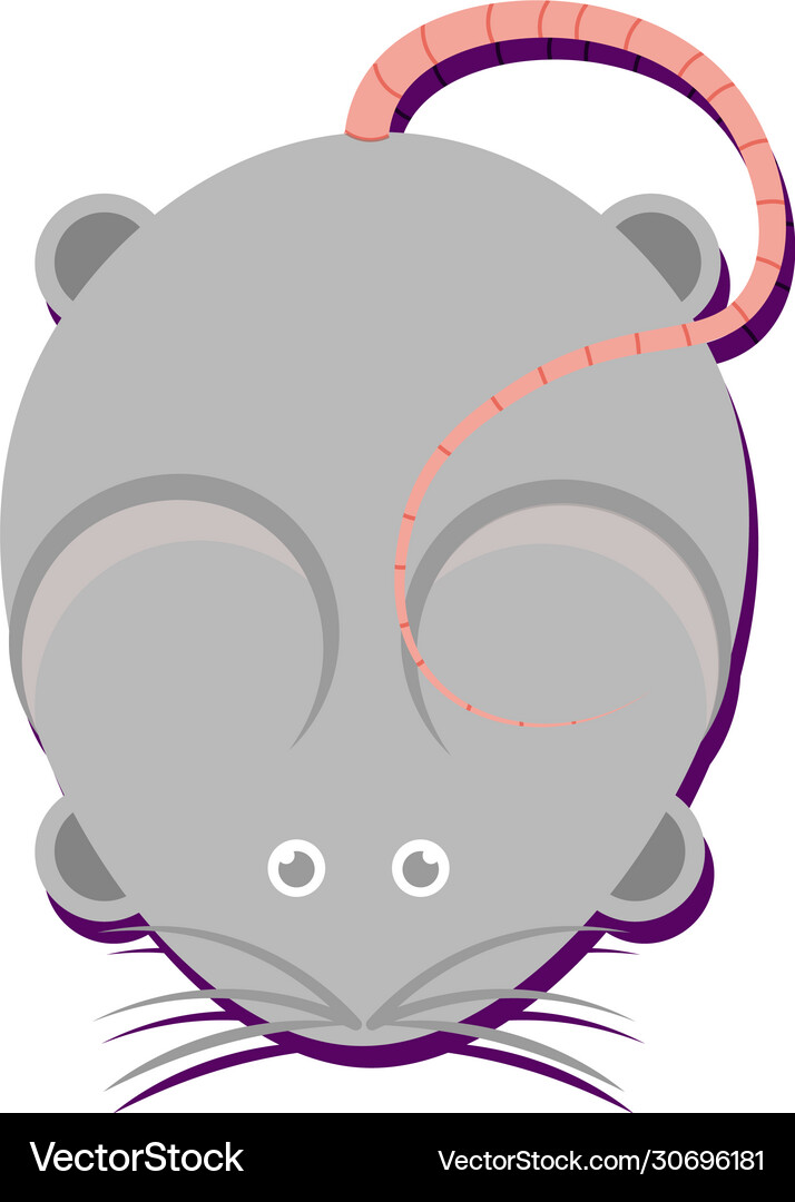Isolated grey mouse cartoon Royalty Free Vector Image