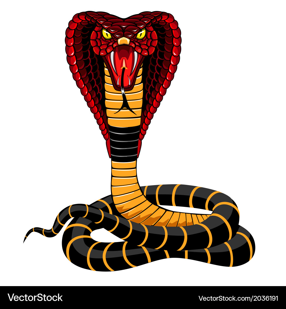 Cobra Royalty Free Vector Image - VectorStock