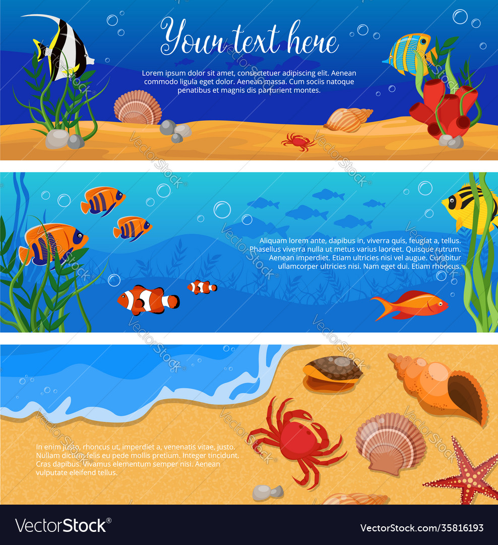 Sea life animals plants banner set Royalty Free Vector Image