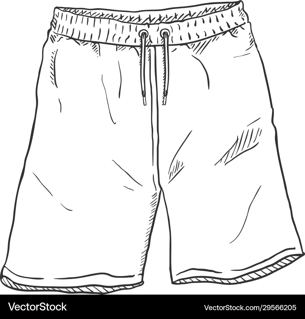 Sketch - training shorts on white background Vector Image